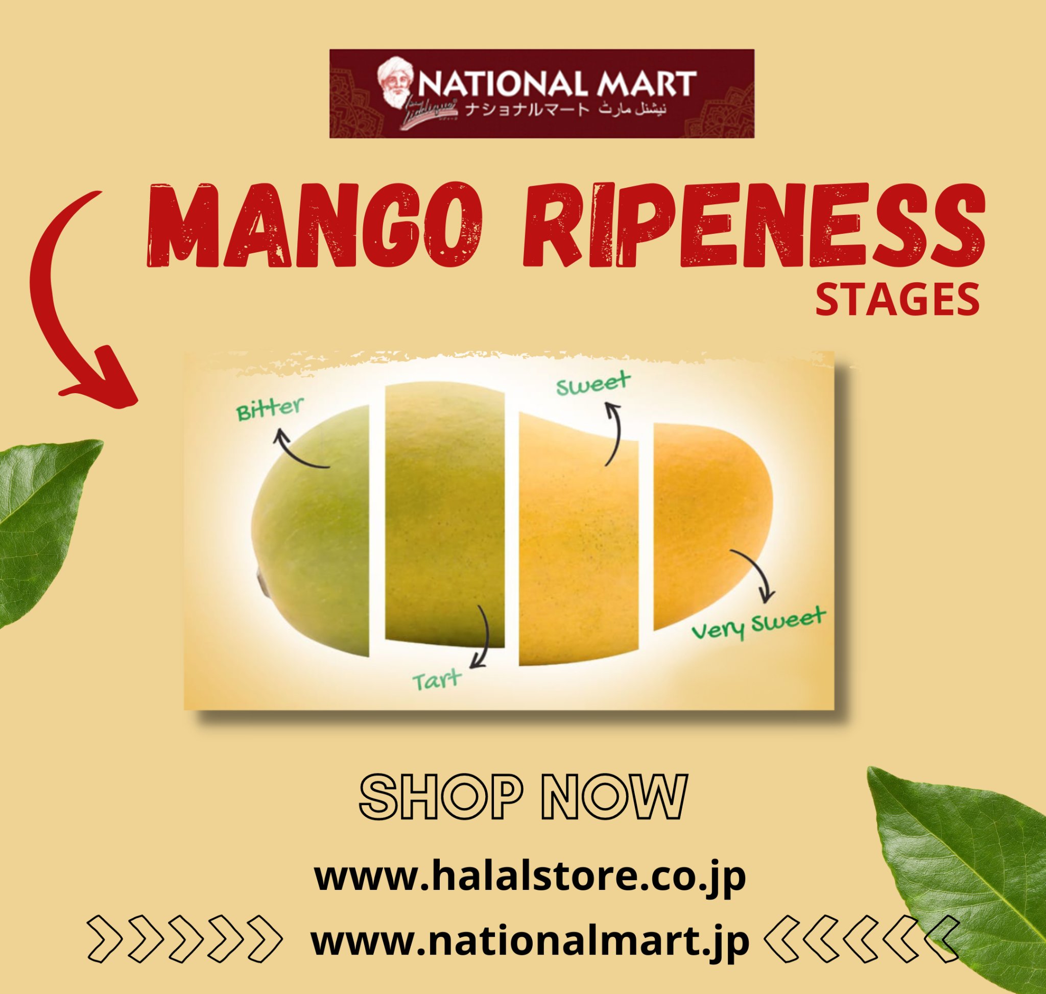 BUY CHAUNSA MANGO OF PAKISTAN | Halal Grocery Online Store