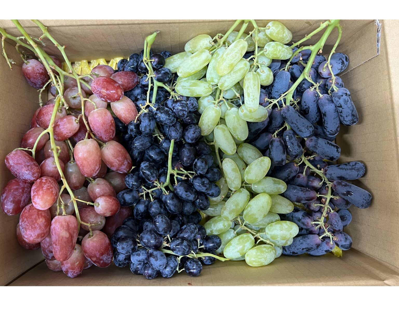 FRESH GRAPES "MIX"- 2 KG PACK - Halal Food Japan National Mart 【ハラル専門の ...